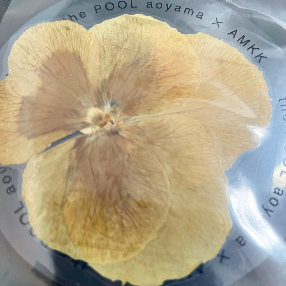 the POOL aoyama AMKK PROJECT PRESSED FLOWER STICKER (L) – cotwohk